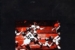 Continental Football League Programs & Memorabilia History
