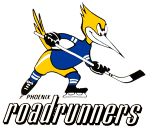 1967-1979 Phoenix Roadrunners • Fun While It Lasted