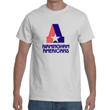 1974 Birmingham Americans • Fun While It Lasted