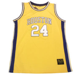 Houston Mavericks 1967-1969: ABA
